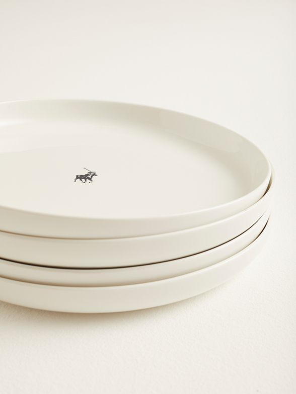 Dinner plate 4 piece set